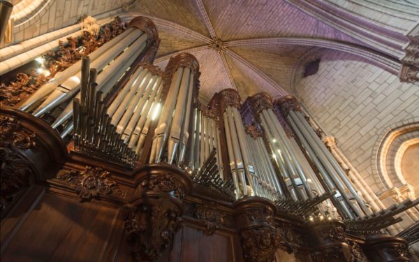 Before the fire: pipes of the Great Organ of the Cathedral of Notre ...