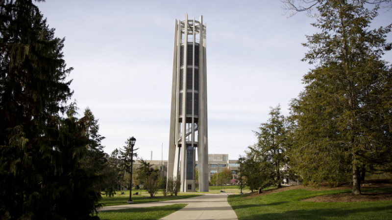 Bells Beneath the Moon and Stars: A Night Sky Recital | EarRelevant